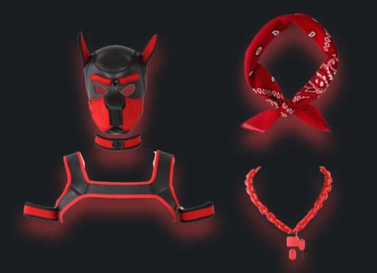 Top 5 Fun Pup Play Gear Theme Ideas - Puppy Play Expert