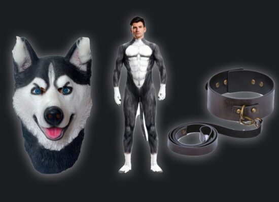 Top 5 Fun Pup Play Gear Theme Ideas - Puppy Play Expert